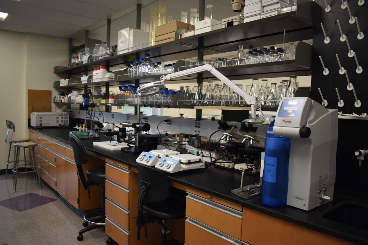 Lab photos | Kwon's Laboratory - Integrative Physiology Lab Lab photos | Kwon's Laboratory - Integrative Physiology Lab